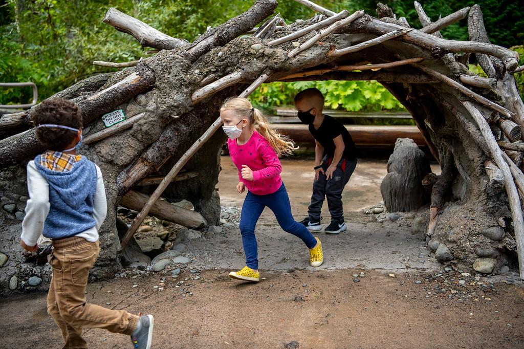 Kids’ Trek Nature Playground at NW Trek Now Open | Seattle Area Family Fun Calendar | ParentMap